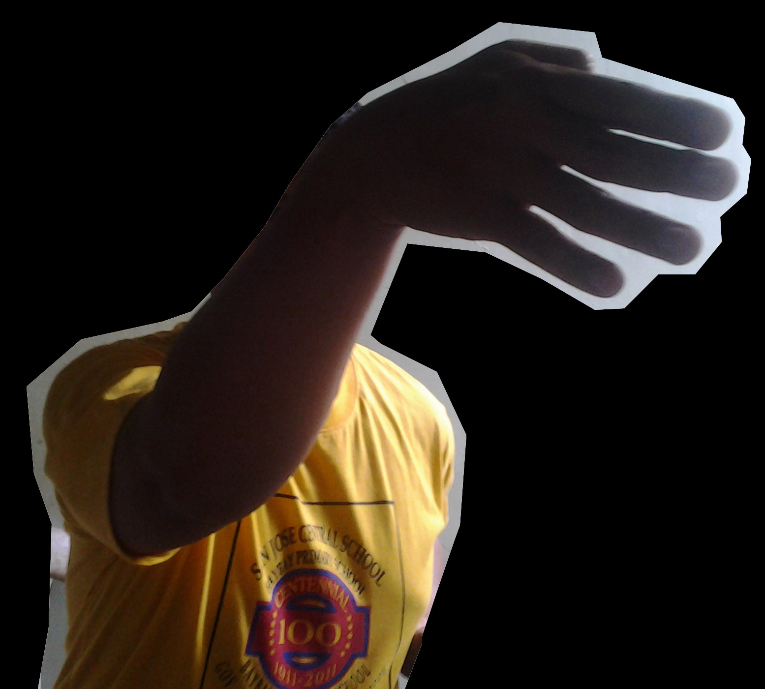 Mantis36: WING CHUN KUNG FU: Alphabets of Techniques