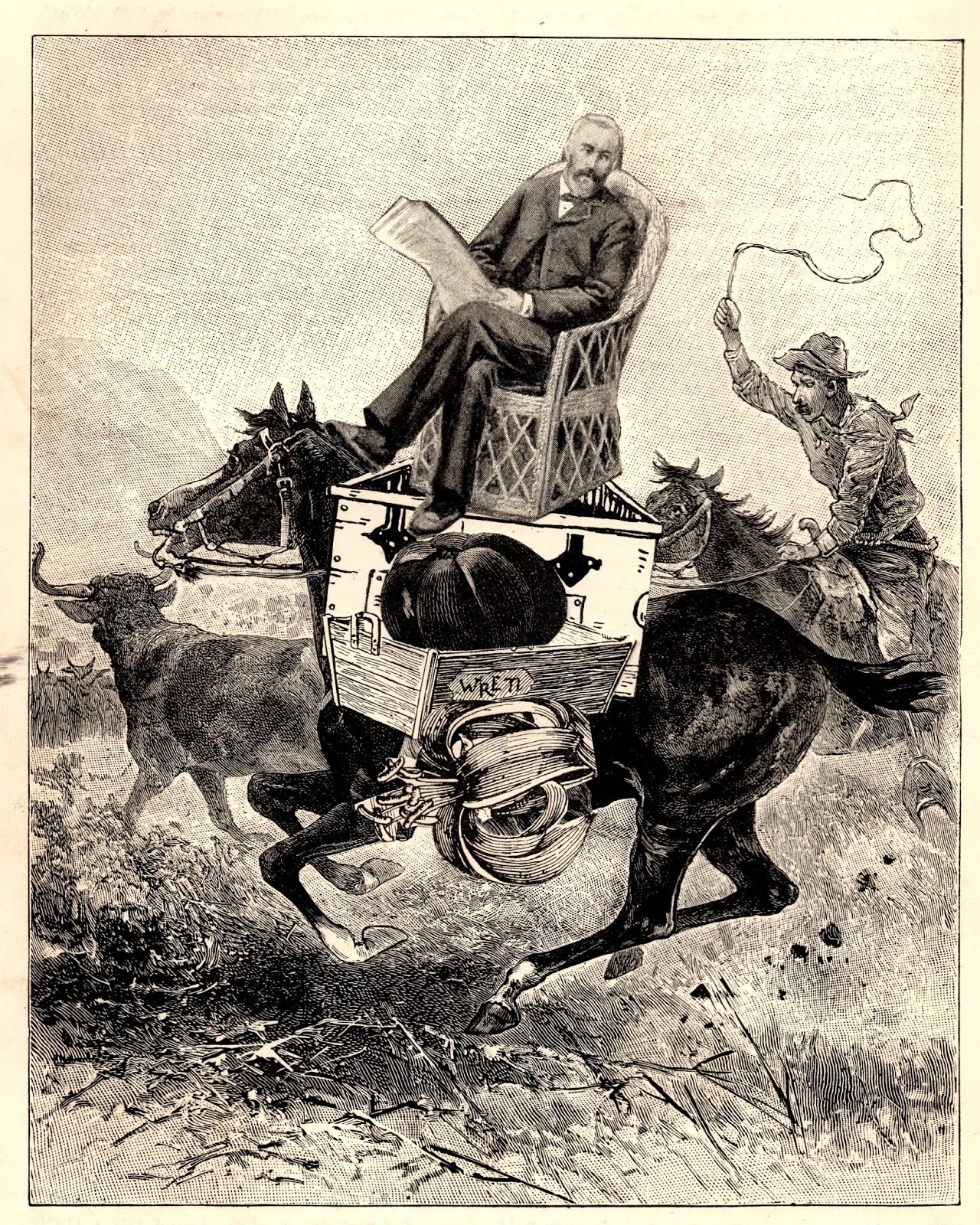 A Quick Ride Through The History Of Horseback Riding