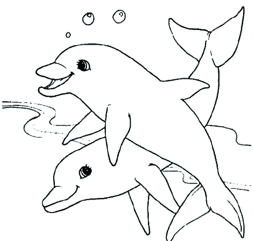 EDUCATIA CONTEAZA : DELFINI