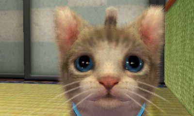 Kingnido's Blog: More Nintendogs! (+Cats)