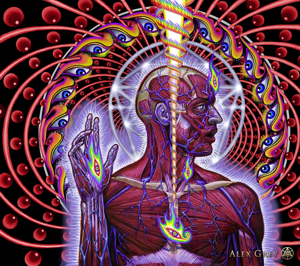 Cromofora La ( Paloma) Contemporary Art Gallery/Magazine: ALEX GREY ...