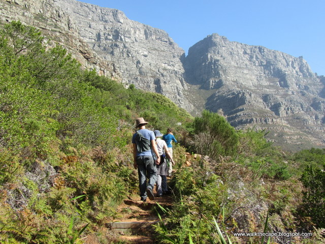 Walking the Cape: Table Mountain Contour Revisited