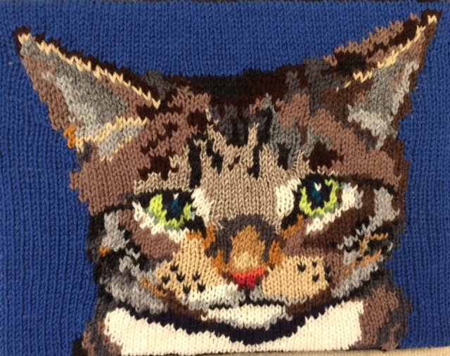 PROJECT V: Knit Pixel Portraits > Gridded SELFIES
