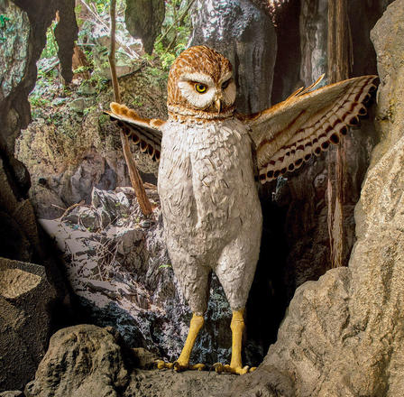 Gurney Journey: Extinct Giant Owl