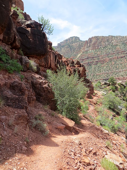 Hiking in the White Mountains: Grand Canyon: Horseshoe Mesa
