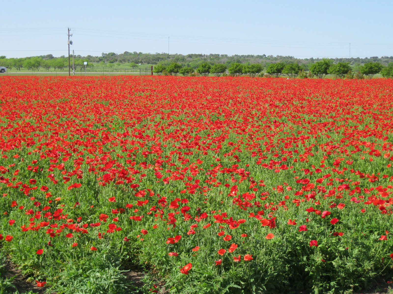 Kay Wyne Fine Art Blog: April 2012