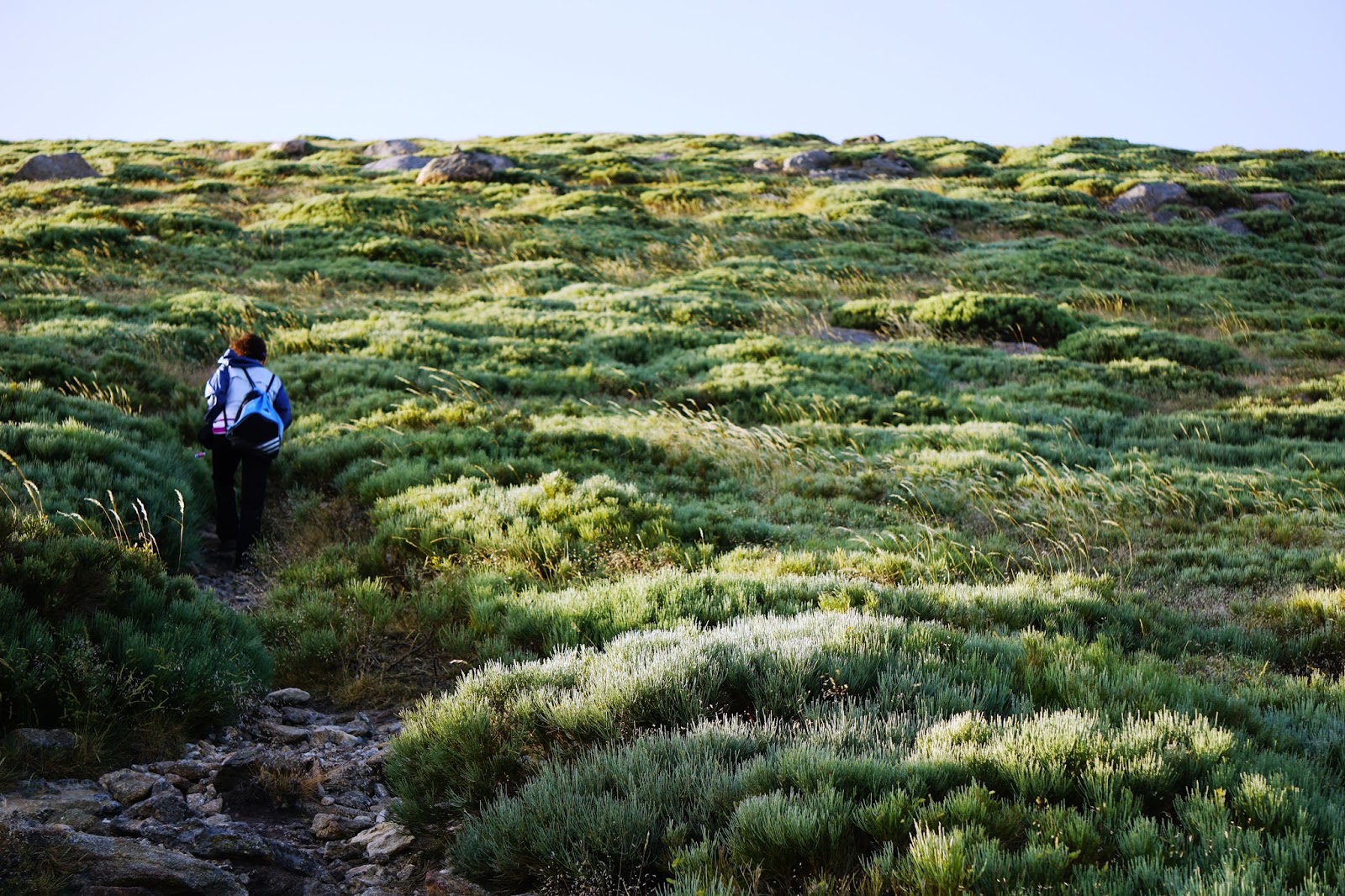 Lazarow World-Hike-About: 23.09 Bejar, Central Spain: Conchal de la ...
