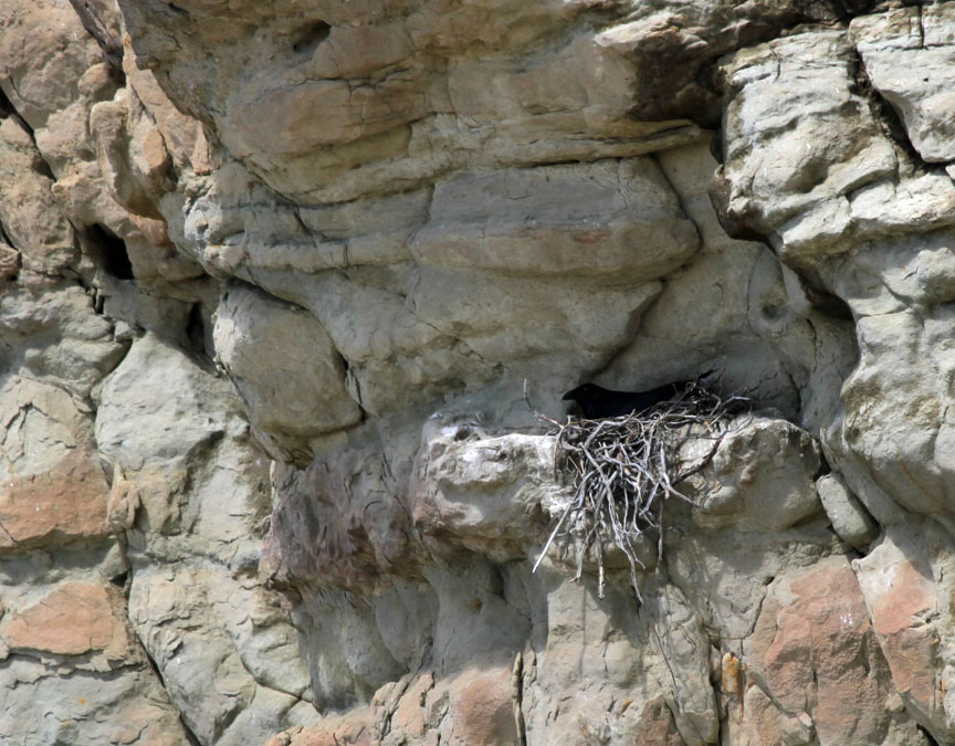 Light in the Valley: Home on the Range