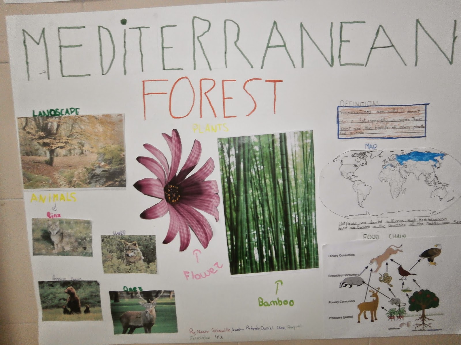 El Villar speaks English: ECOSYSTEMS: LET'S TAKE CARE OF THE WORLD!