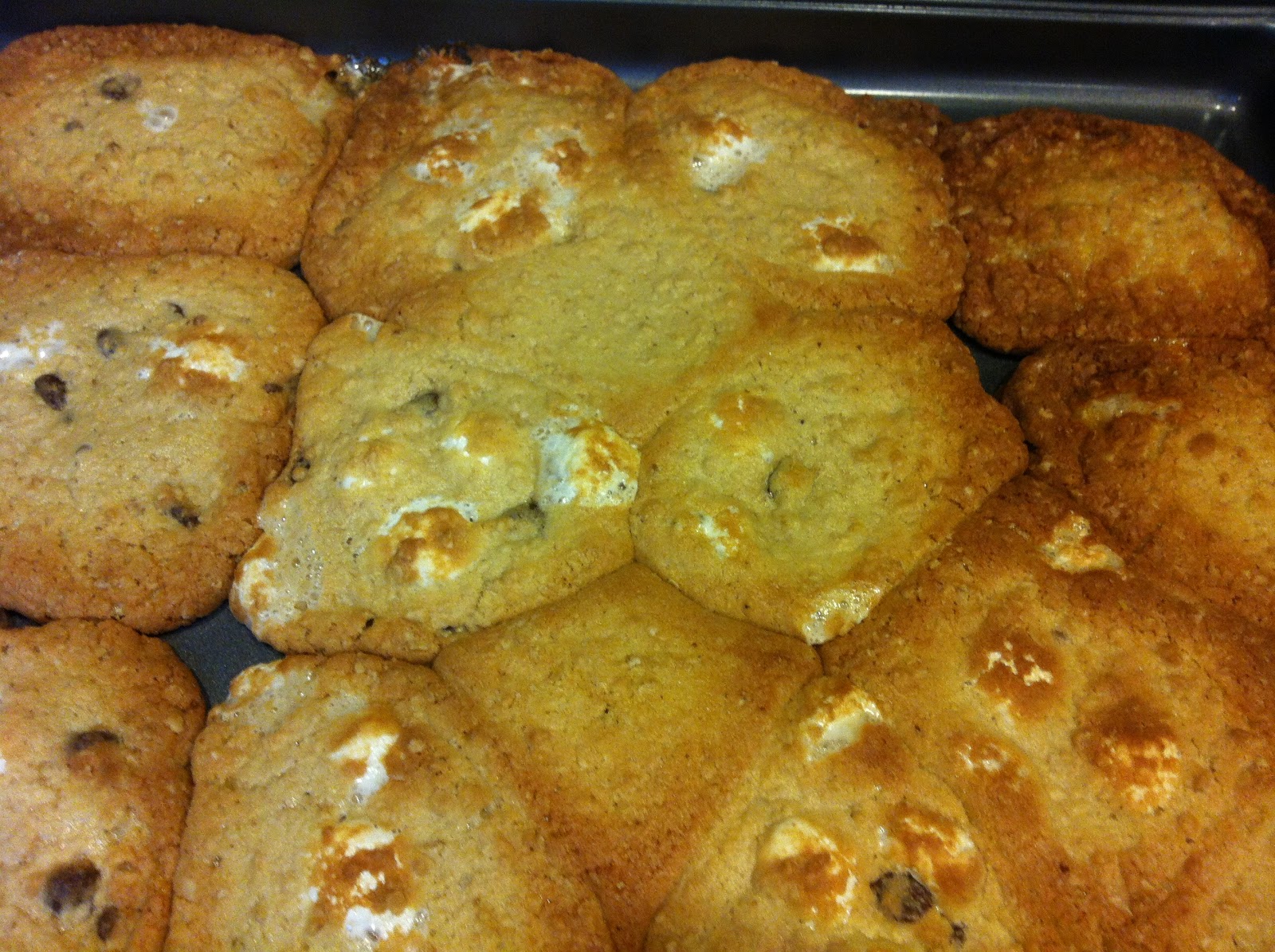 A Day in a Life: Ugly Cookies: Oatmeal Chocolate Chip w/ Marshmallows