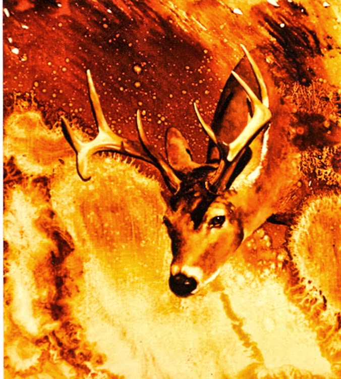 The Art of Bill Lundquist: Gallery: Oils