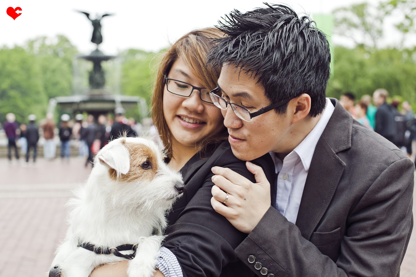 NYC Photo Blog | beIMAGED Photography | beBLOGGED: a couple + their dog ...