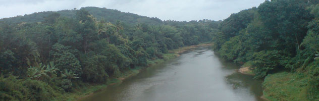 Pattazhy - JungleKey.in Image