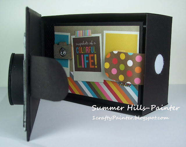 1craftyPainter: Camera Box and Mini Album
