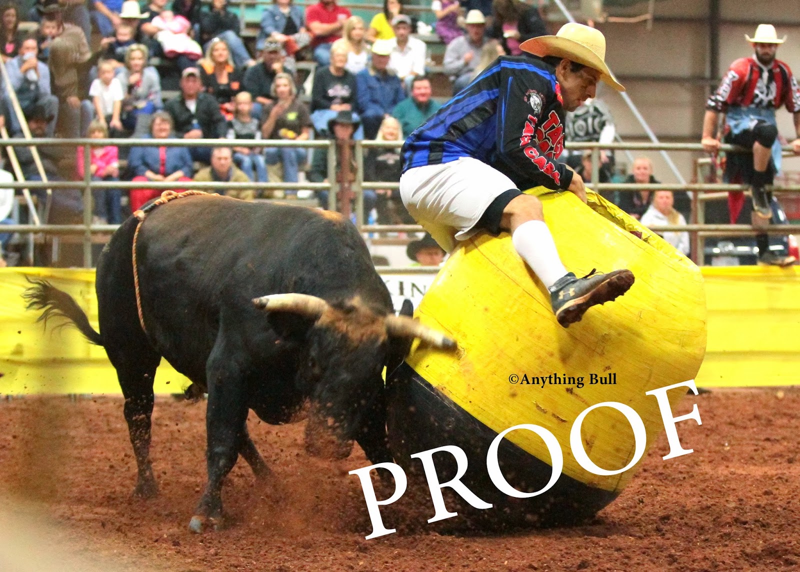 Anything Bull or Rusty: Final short round - Zach Flatt - Score 88 ...