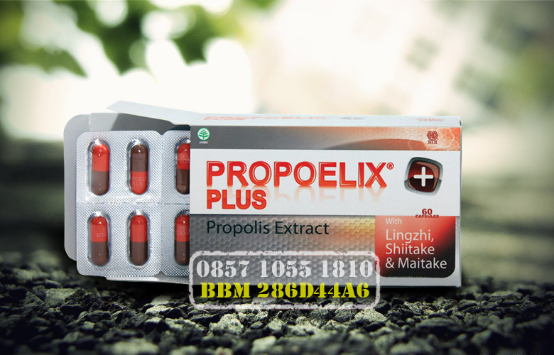Propoelix Plus Suplemen Premium Antikanker dan Tumor | Produk HDI
