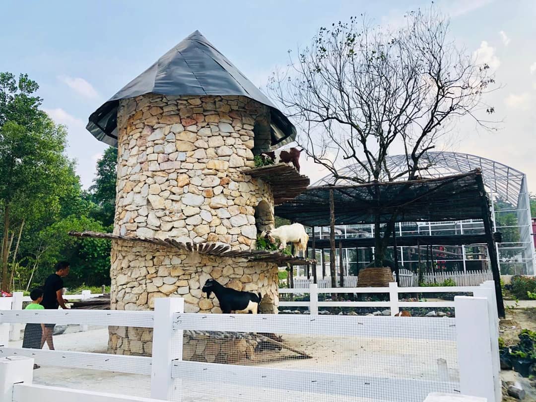 Asia Farm, Wisata Pekanbaru 'Hay Day' di Dunia Nyata - Pariwisata Sumut