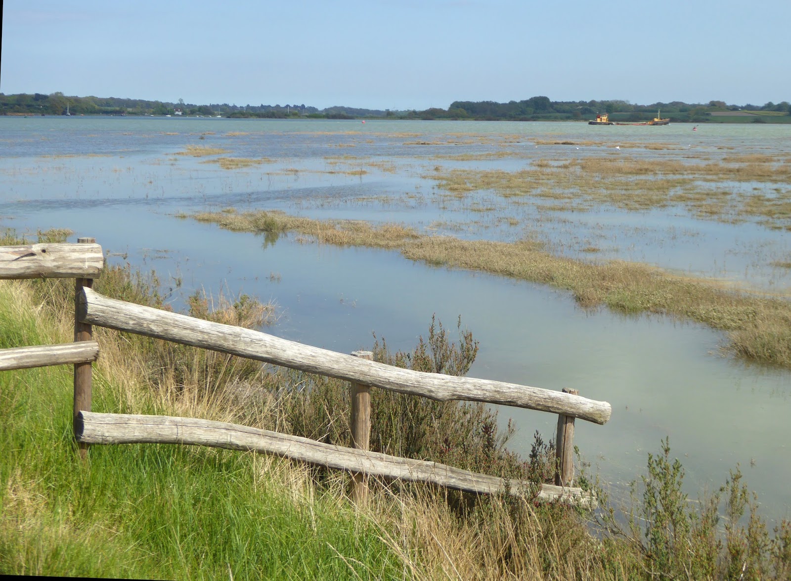Wild and Wonderful: And a Nightingale sang... at Fingringhoe