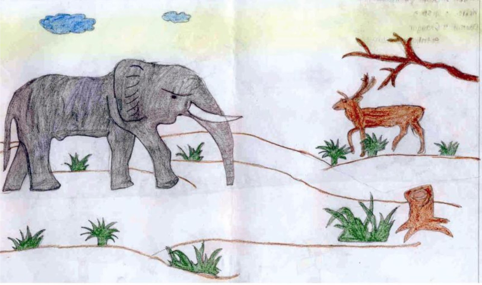 SENI BUDAYA: MENGENAL PERKEMBANGAN SENI RUPA ANAK-ANAK