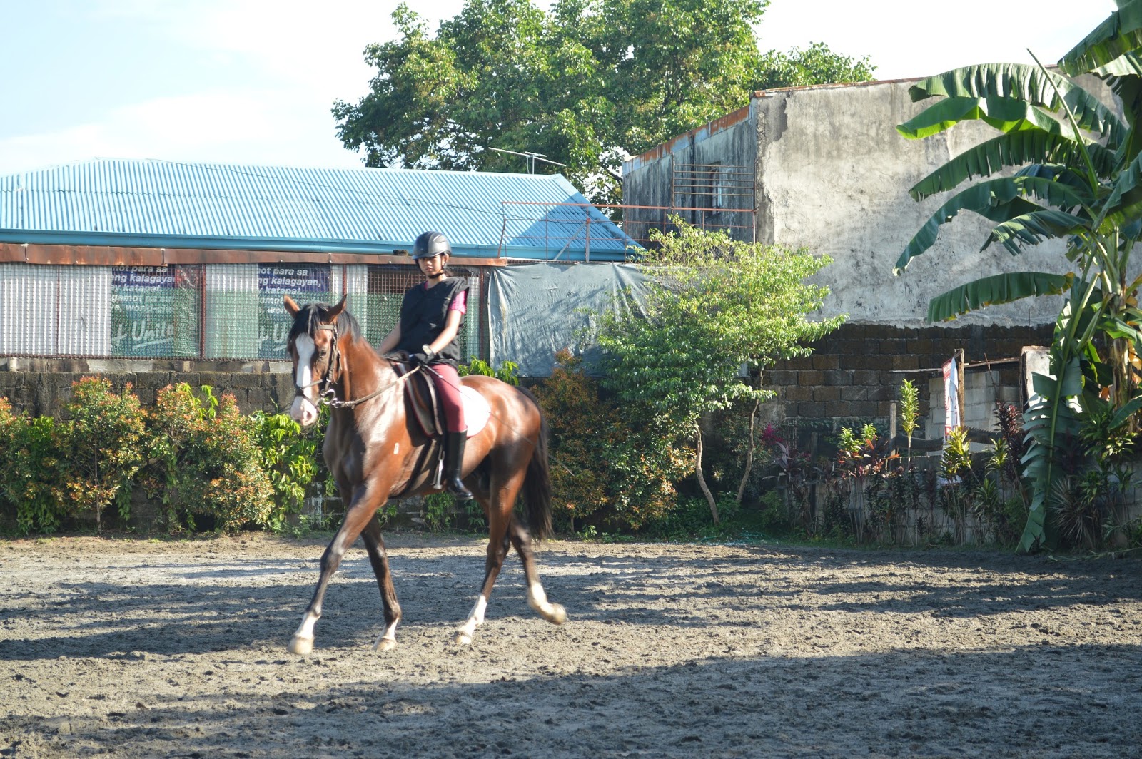 Horse Riding Philippines: A Glimpse of Yana's Horesback Riding Lesson ...