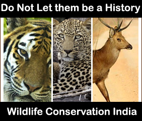 Conservation of Wildlife in India - GENERAL AWARENESS