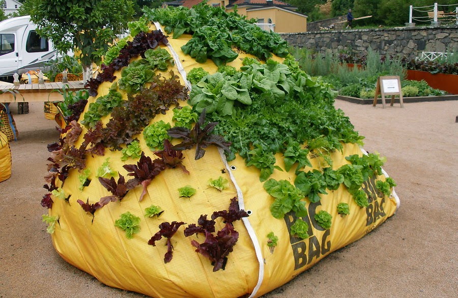 Avaleht Müük Koostöö ja reklaam Aforismid Magus Autorikaitse