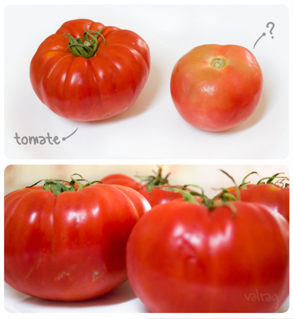 El Blog de SirThomas: SirCampañas. Date el gusto, saboreá un tomate ...