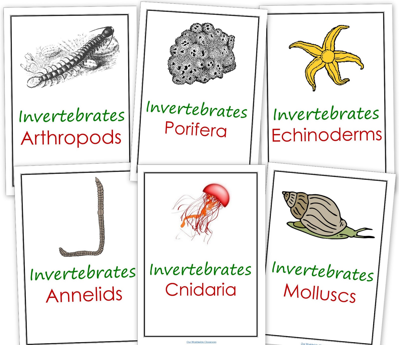 Our Animal Kingdom Notebooks With Printable Materials