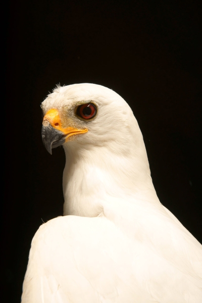 Fotografia Contemporanea: Gary Heery