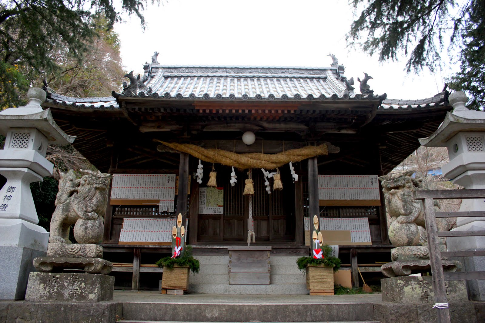 The Flying Mikan: Sightseeing in Ikata