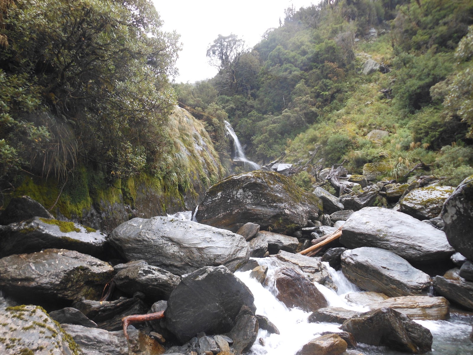 Tramping: Toaroha, Hokitika, Lower Whitcombe Track and Sir Robert Hut