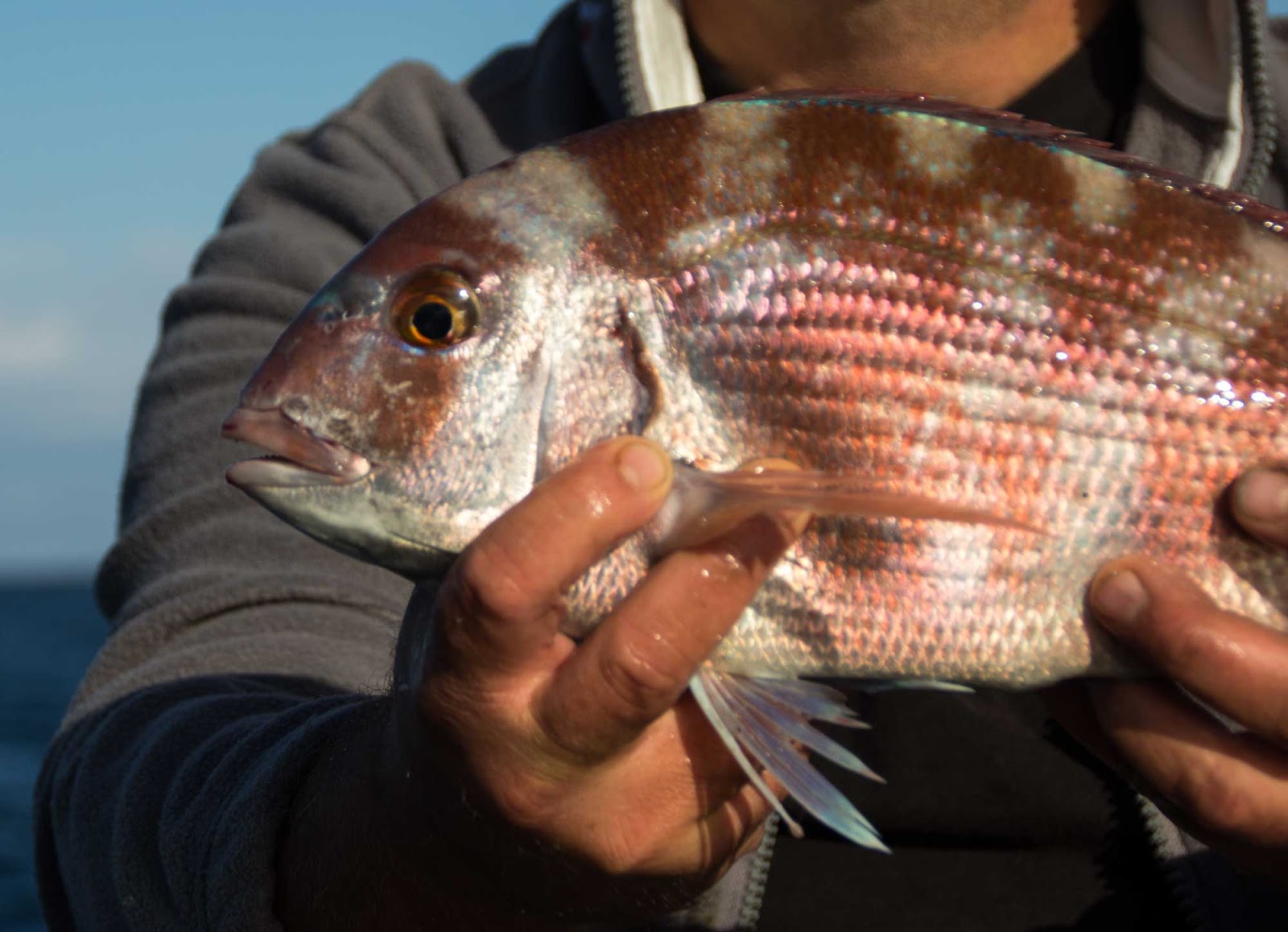 Pêche aux Roches Douvres