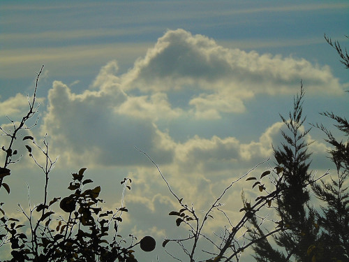UM JEITO MANSO: Stratus, cumulus, cirrus, nimbus
