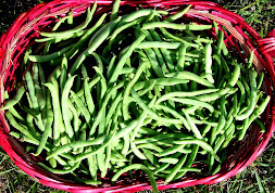 The Sharing Gardens : Hay-Bale Compost