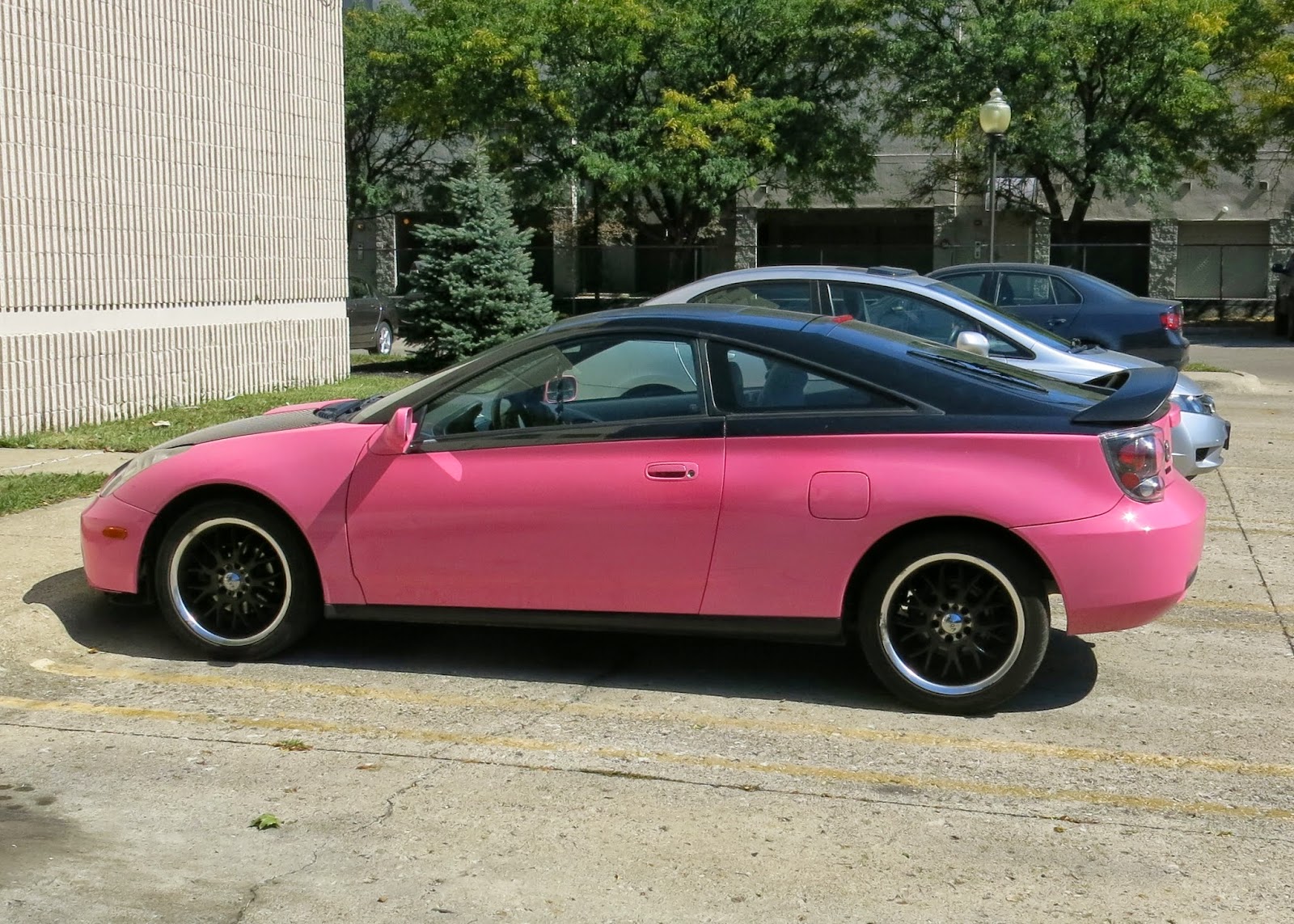 ifthethunderdontgetya™³²®©: German Village fences and bright pink Toyota