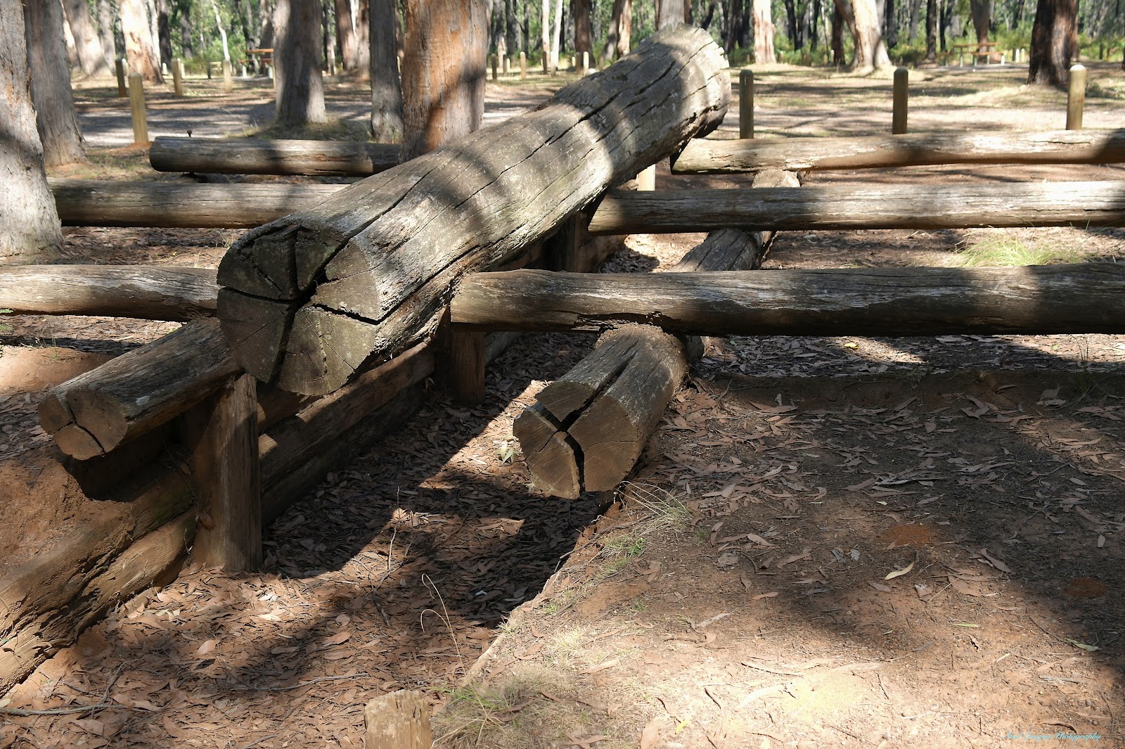 Can Go Around Australia: Mount Clay State Forest