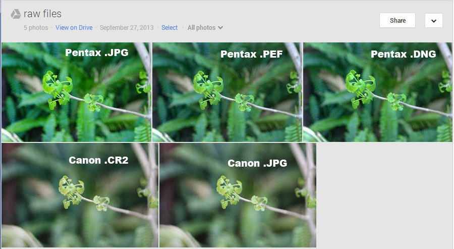 wandering in the light: September 2013