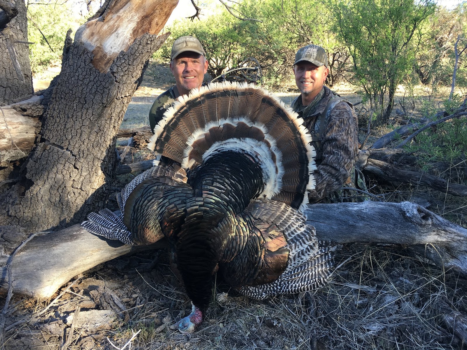 Goulds Turkey Hunt: 2018 Goulds Turkey Hunting-Casey Brooks, Beau ...