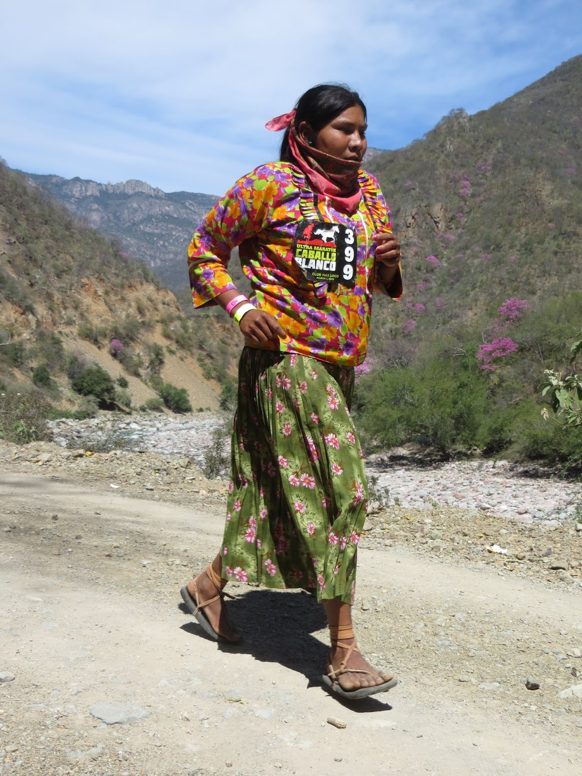 Walk Like a Warrior: Tests & Drills by Mark Hatmaker