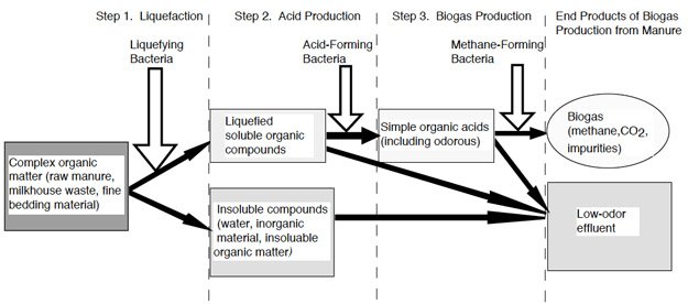 BIOGAS Energy