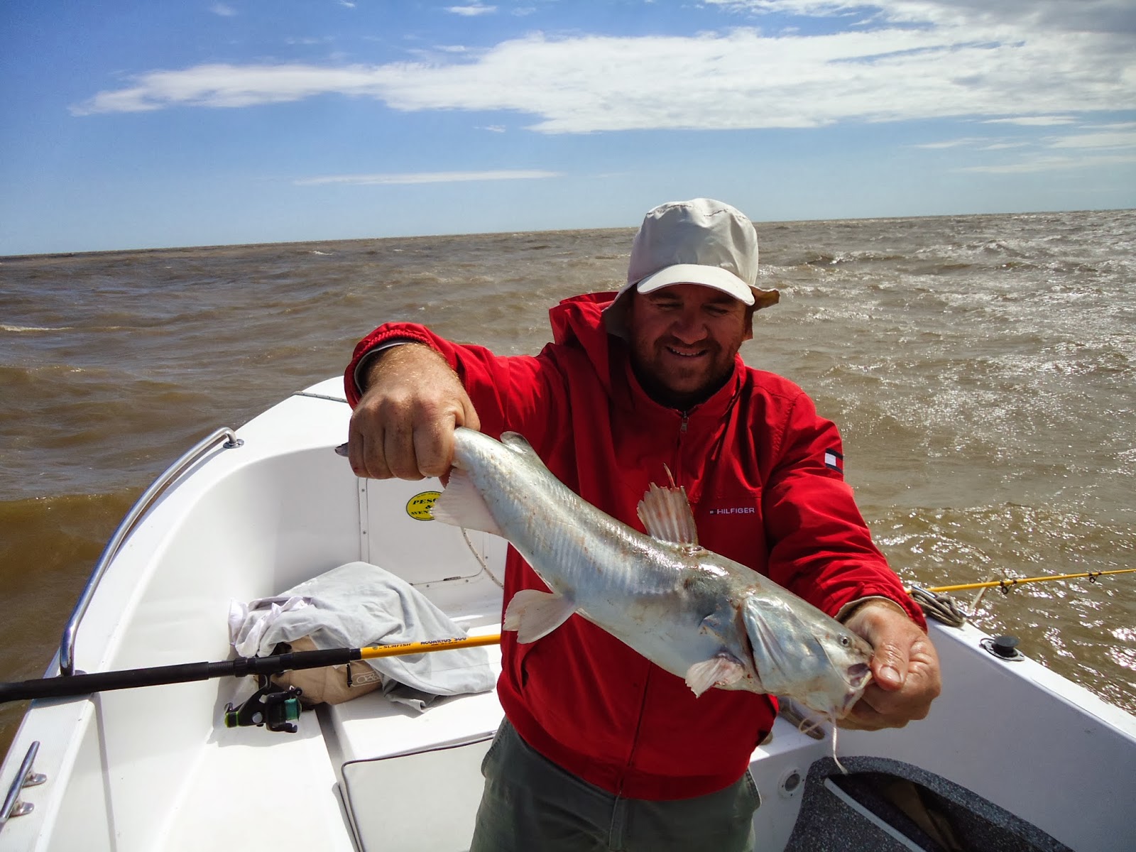 El Renegado Pesca en Berisso "Guia de Pesca Profesional": Bagres de mar ...