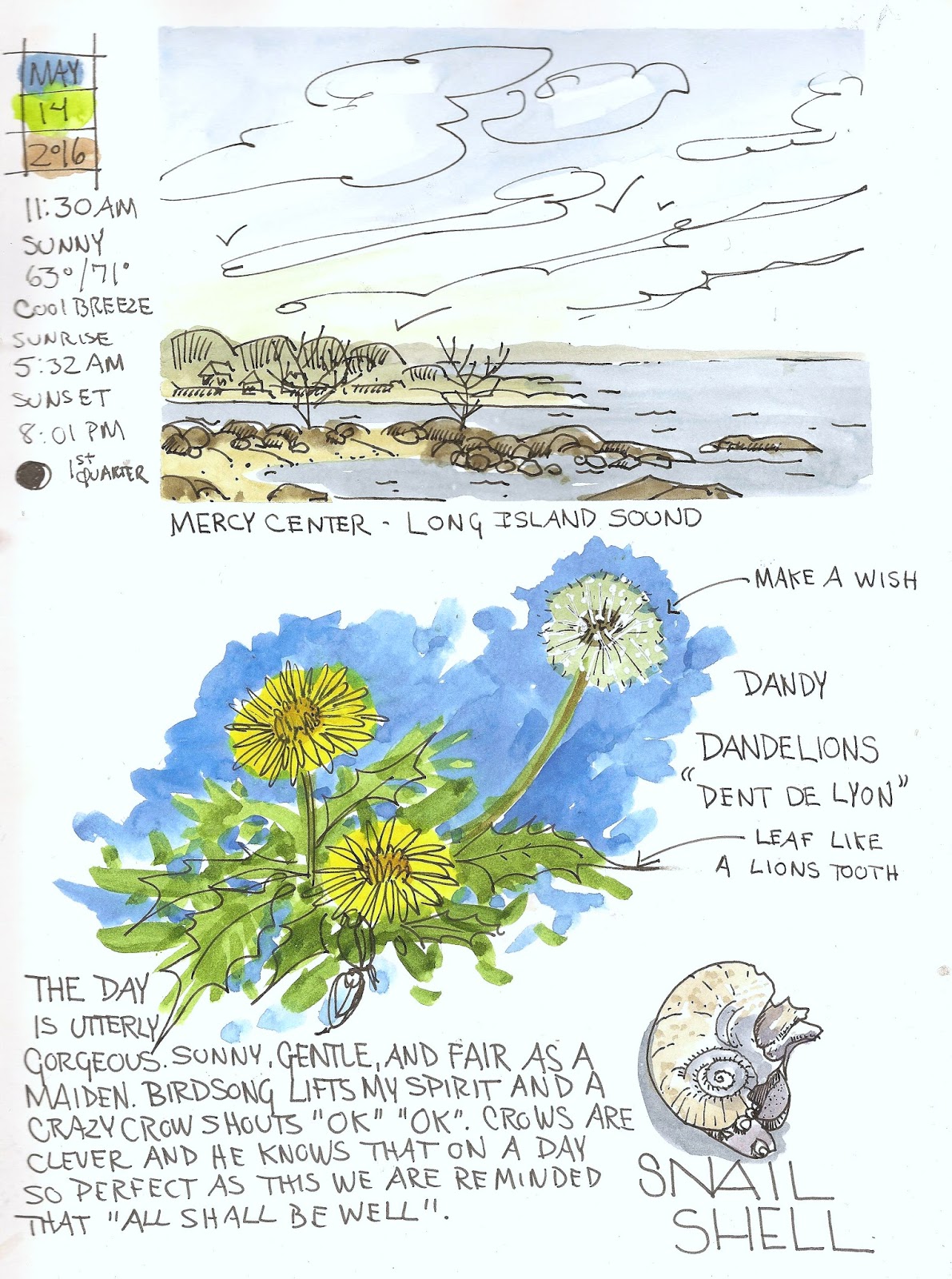 Jan Blencowe's Sketchbook Hypothesis: Nature Journaling Retreats Jan Blencowe's Sketchbook Hypothesis: Nature Journaling Retreats