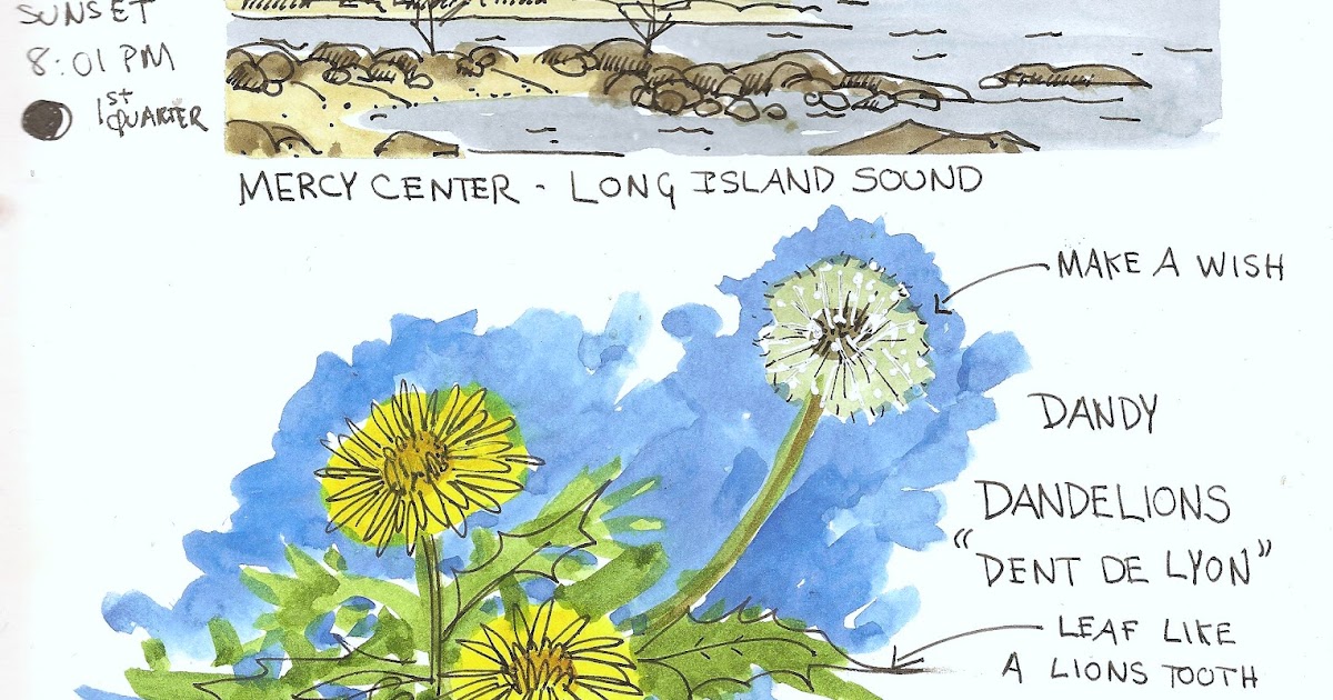 Jan Blencowe's Sketchbook Hypothesis: Nature Journaling Retreats Jan Blencowe's Sketchbook Hypothesis: Nature Journaling Retreats