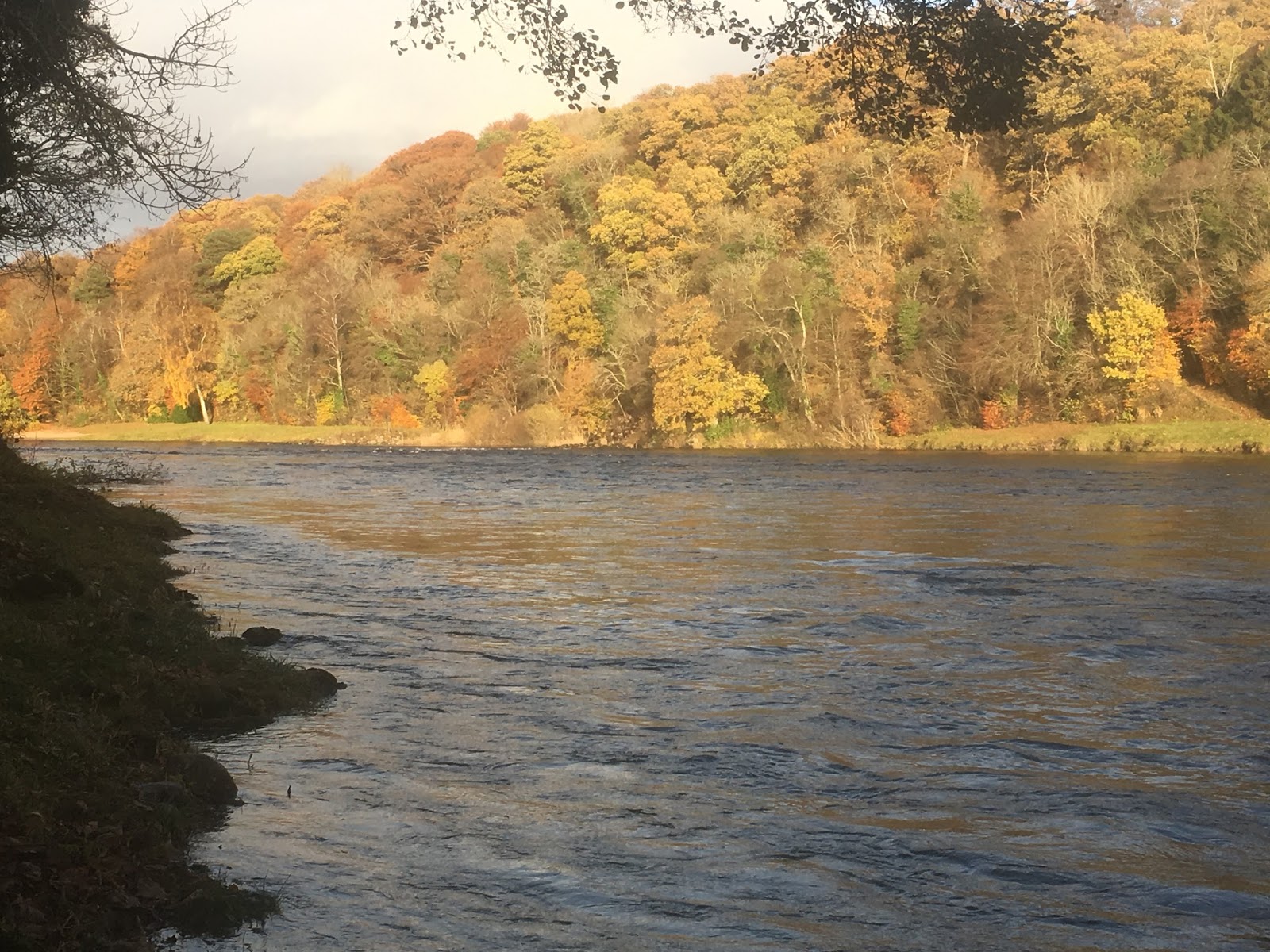 Stanley Beats River Tay : Benchil Beat River Tay