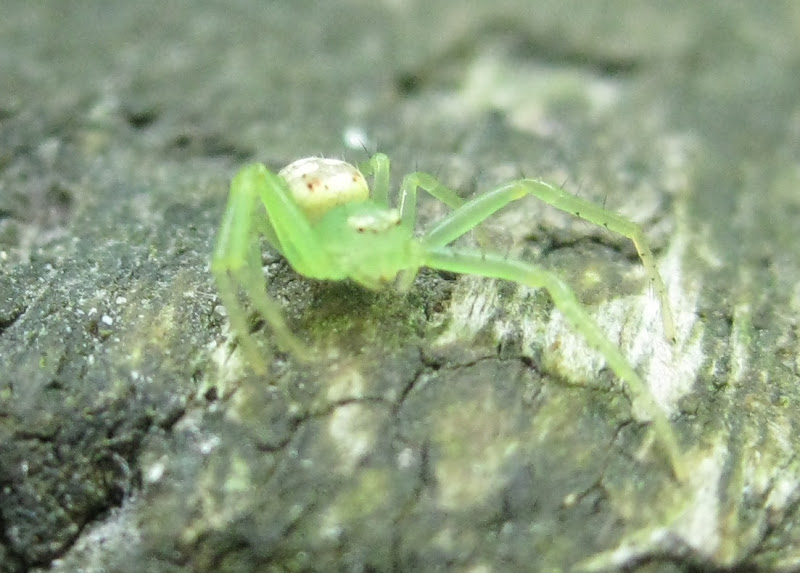 The story of our life returning to England from Braye-sous-Faye: Green ...