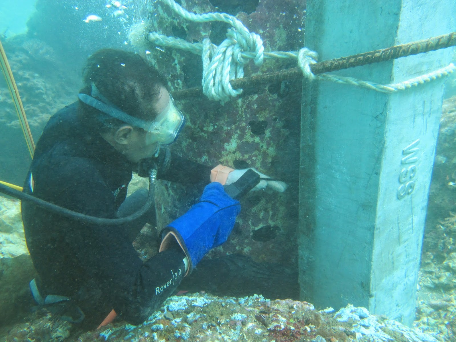 Magnesium Anode, Aluminium/Zinc Anode - Engineering and Supply Cathodic ...