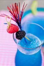 This, That and a Little More: Delicious Frozen Blue Lemonade Cocktail ...