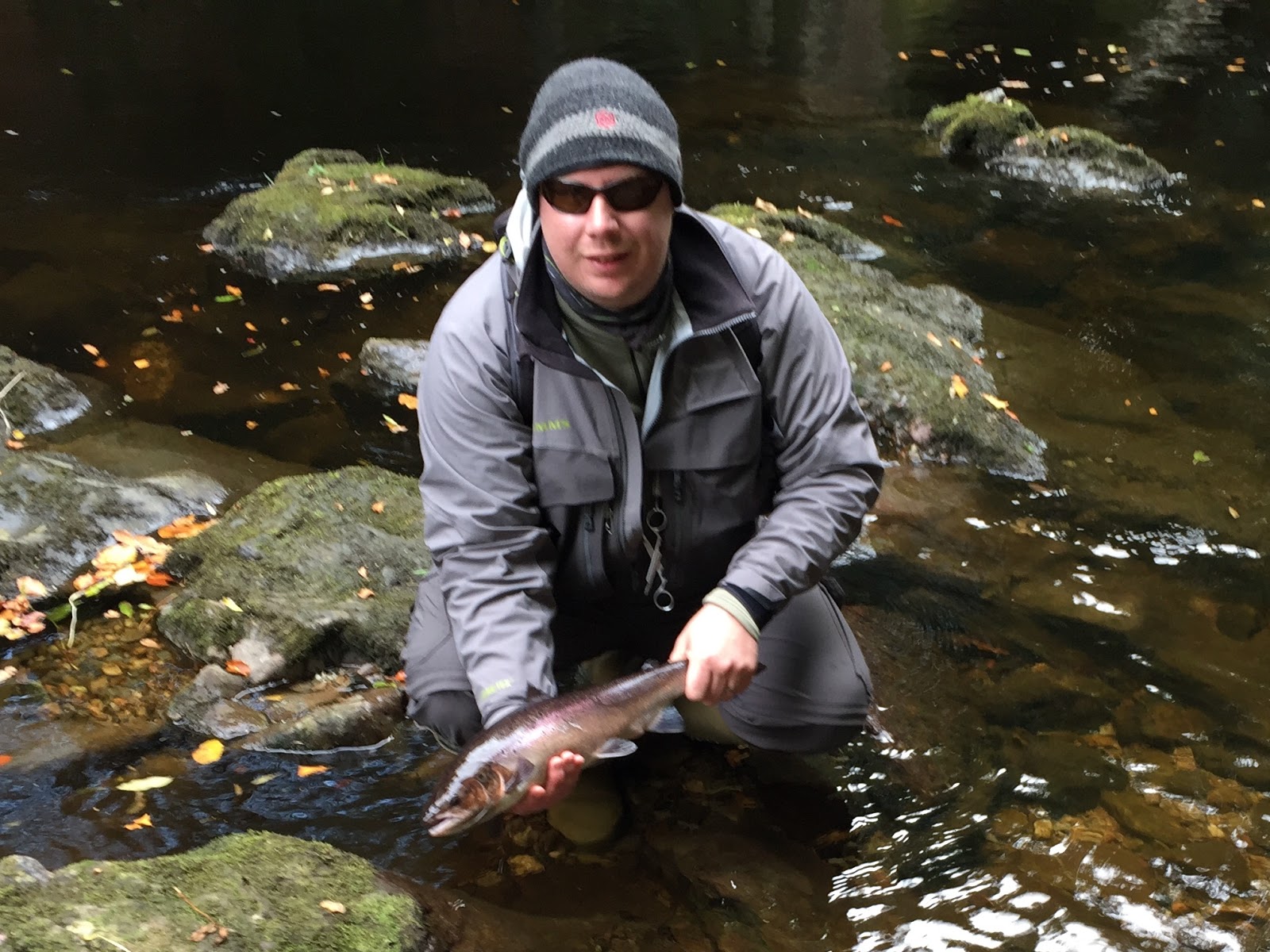 Dee & Don Salmon Fishing: North Esk Grilse