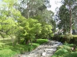 DISEÑO Y OPERACIÓN INTEGRAL DE ACTIVIDADES GUIADAS EN ESCENARIOS DE ...