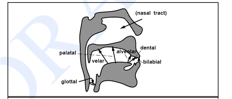 Apeace Cgek: English Phonetic & Phonolgy